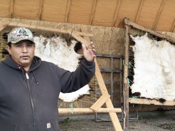 Cultural Connection to Animals (by Kainai First Nation) | Climate Atlas ...